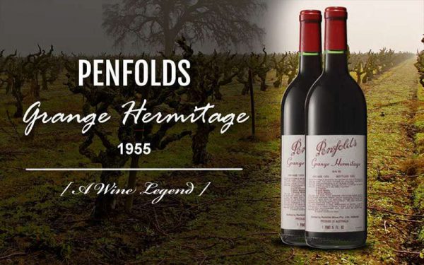 Penfolds Grange - Top những chai rượu vang tốt nhất thế giới - Malt & Co