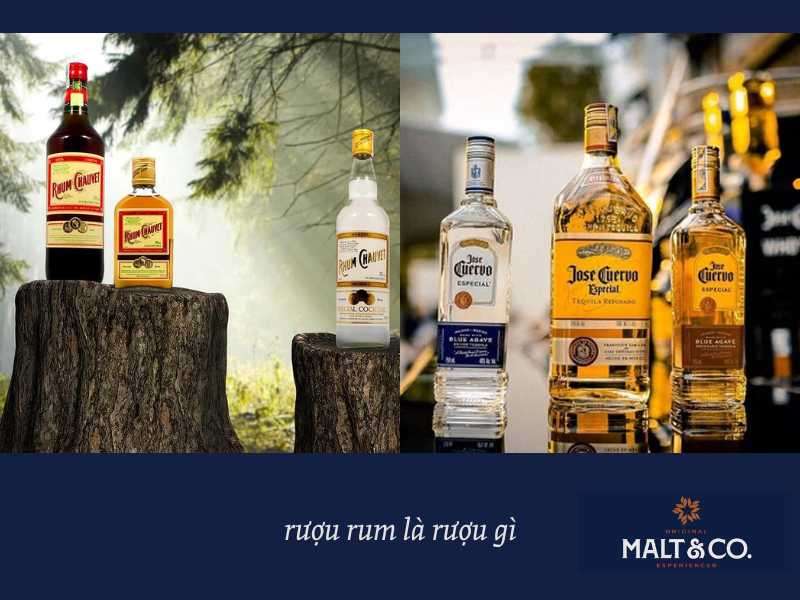 Rượu Rum Là Rượu Gì? - Malt & Co